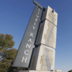 Belzberg & Co. | Capital flexibility. Investment discipline. Deep network.